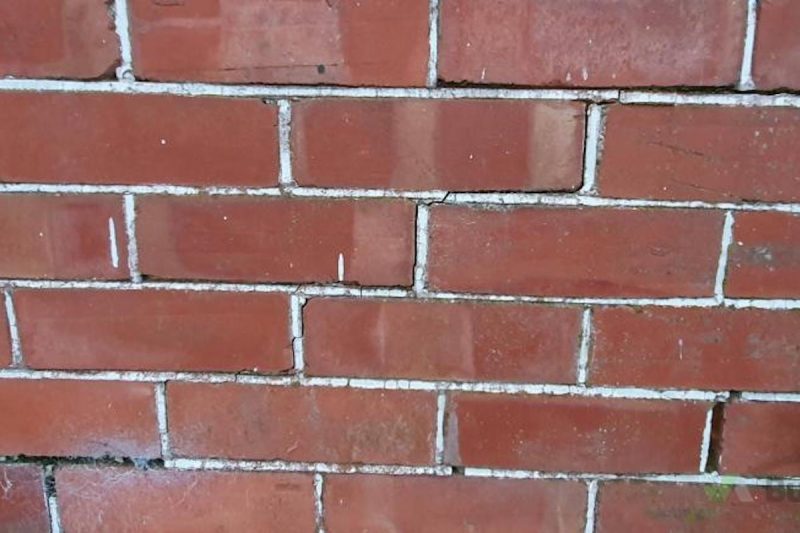 NZ Brickwork: Your Easy Guide to Repairs & Maintenance