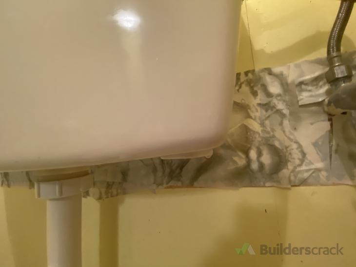 Cistern leak (# 763642) | Builderscrack