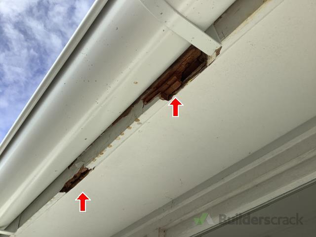 Broken Baton & Deterioration To Bottom Of Rafter (# 775898) | Builderscrack