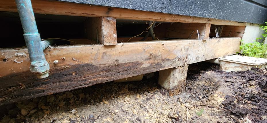 Possible pile, with bearer replacement. (# 776187) | Builderscrack