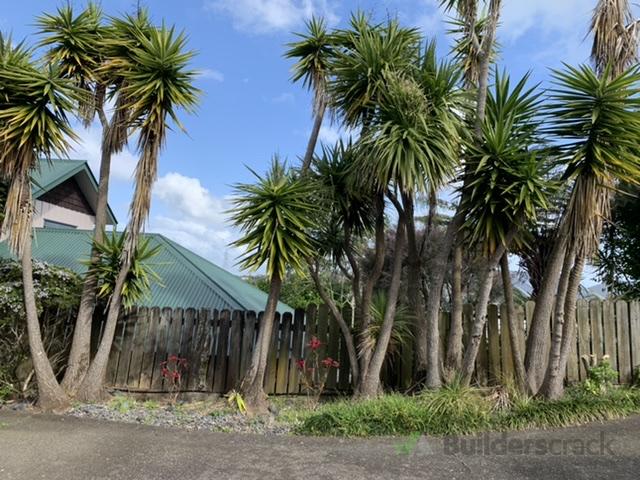 Cutting down of Yucca trees (# 777402) | Builderscrack