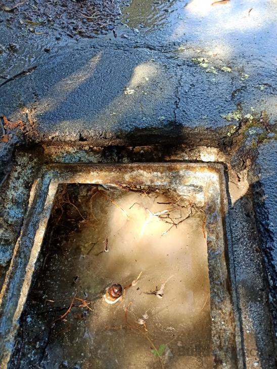 Determine cause of mains water leak between connection point and water ...