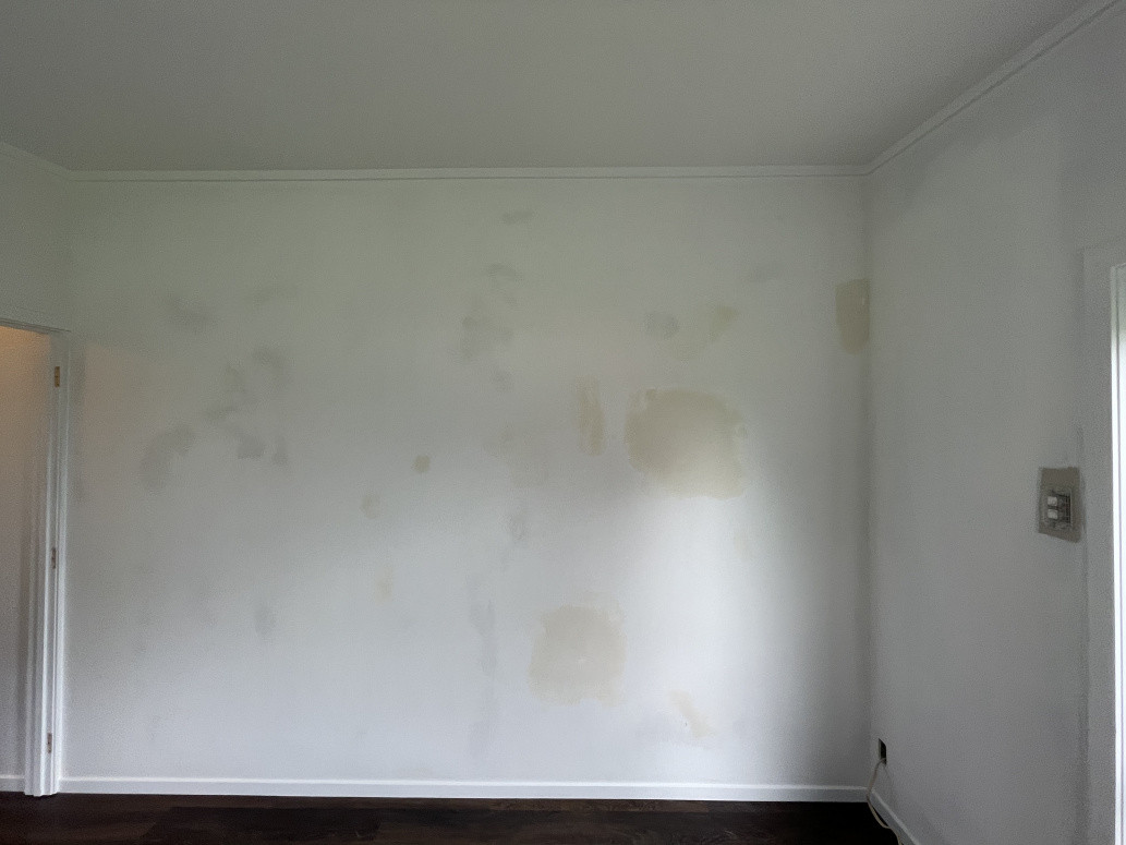 Plastering to paint finish | Builderscrack