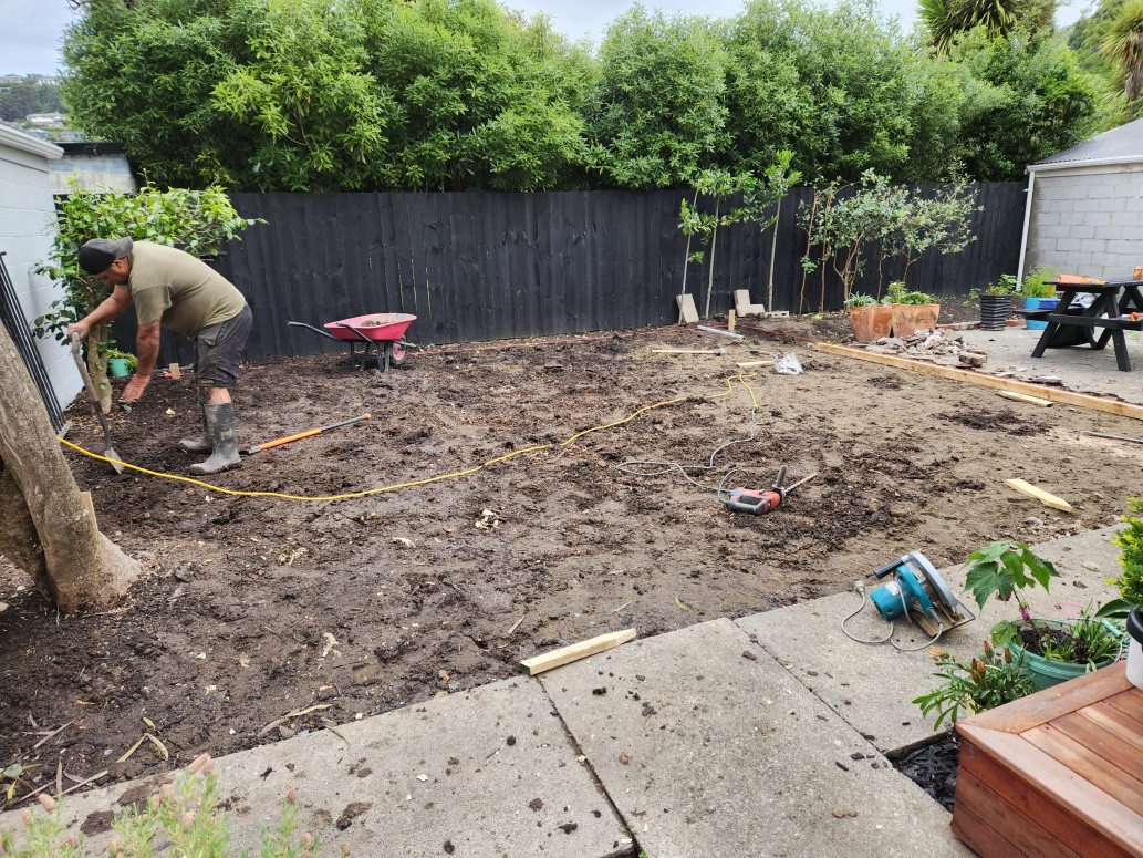 New Ready Lawn | Builderscrack