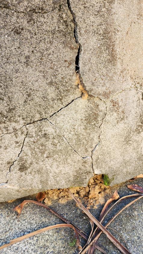 Retaining wall cracking large and moving due to water retention - Needs ...