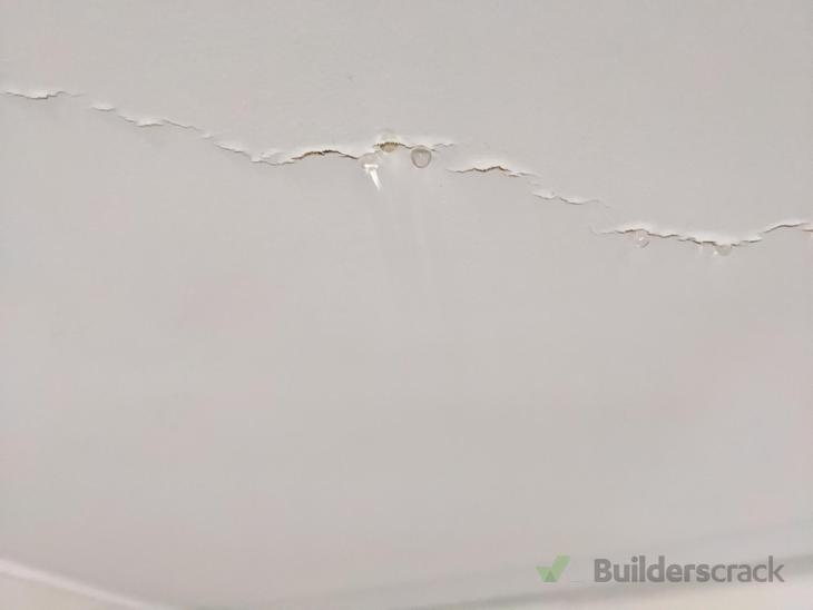 Ceiling gib repair and repaint (# 903372) | Builderscrack