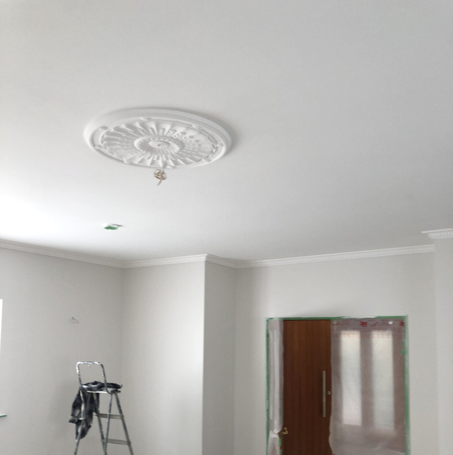 Fibrous plaster coving | Builderscrack