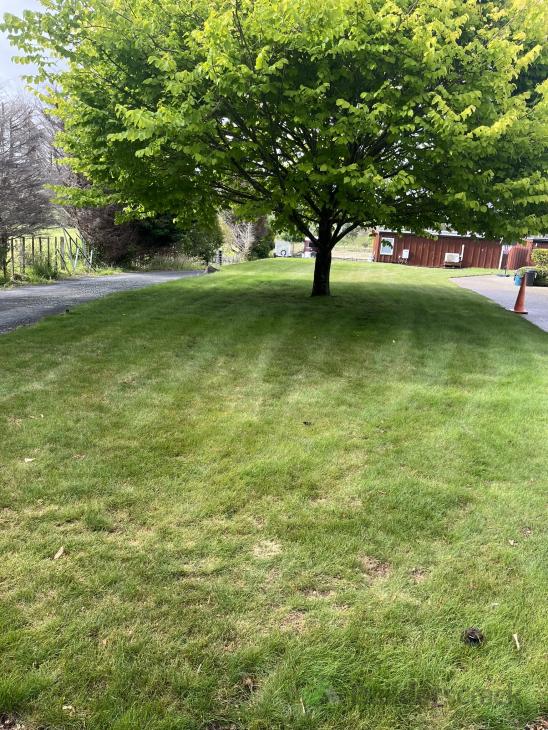 Large lawn renovation (# 922684) | Builderscrack