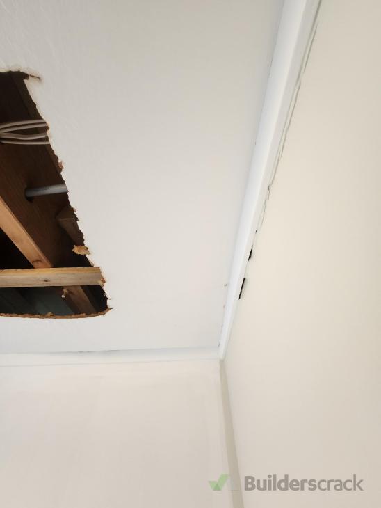 Water Damage Ceiling Repair (# 948802) | Builderscrack