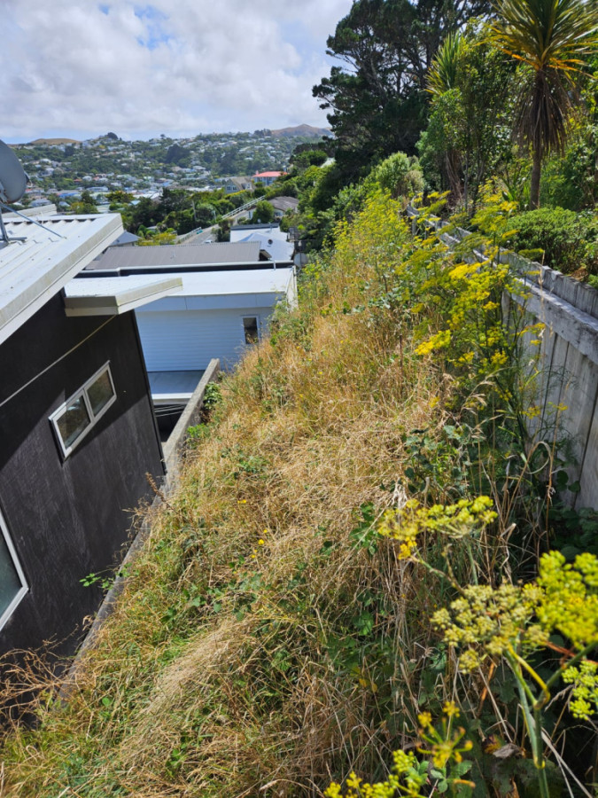 Scrub cutting for pre sale | Builderscrack