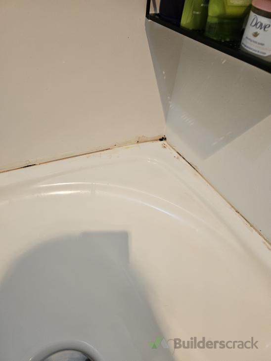 Resealing a shower (# 949433) | Builderscrack