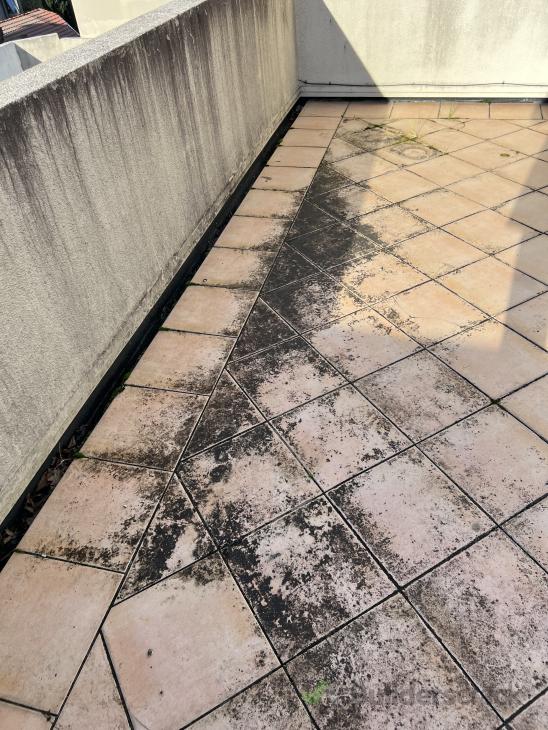 Exterior Water Blasting of Deck and Paving Stones (# 985265) | Builderscrack