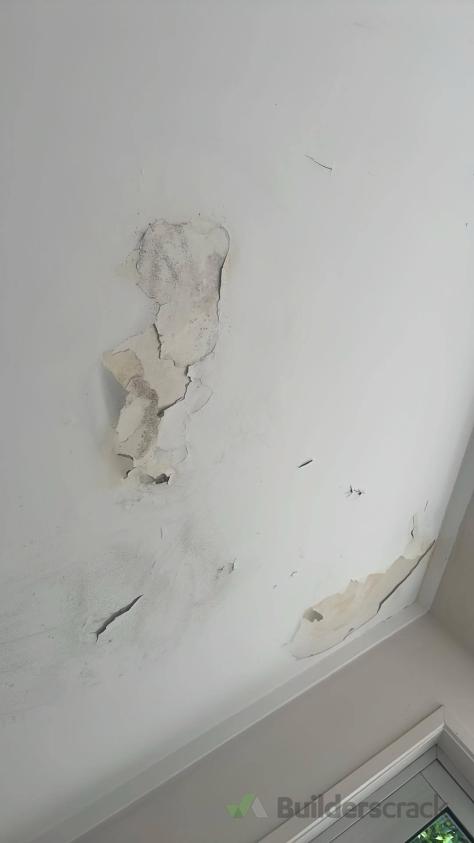 Fibrous Plaster Ceiling Repair (#1099753) | Builderscrack