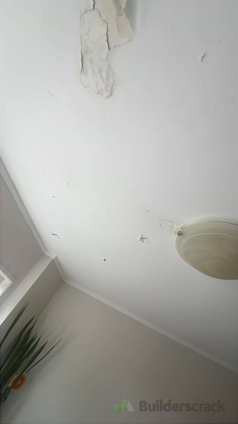 Fibrous Plaster Ceiling Repair (#1099753) | Builderscrack