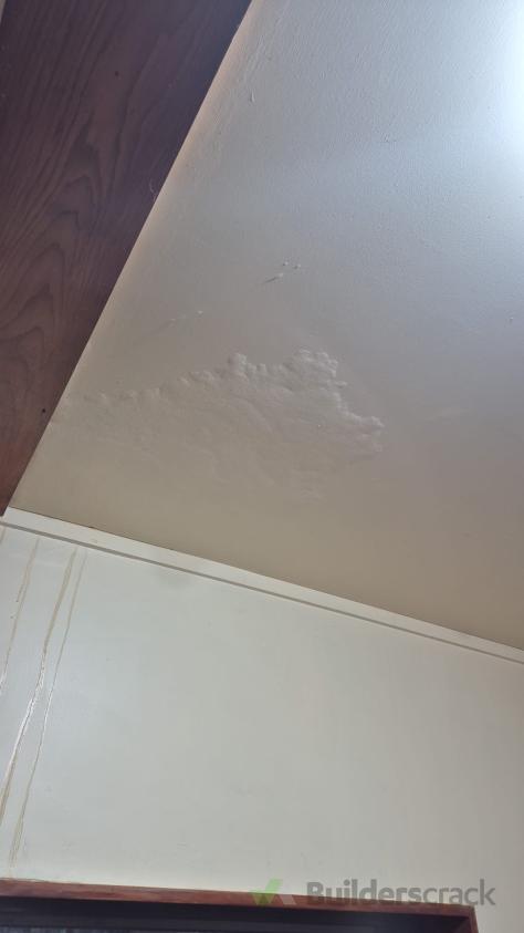 Polycarbonate roof leak + internal ceiling damage (#1104315) | Builderscrack