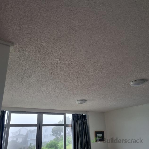 Co-ordinate asbestos ceiling removal, install ceiling gib/scotia ...