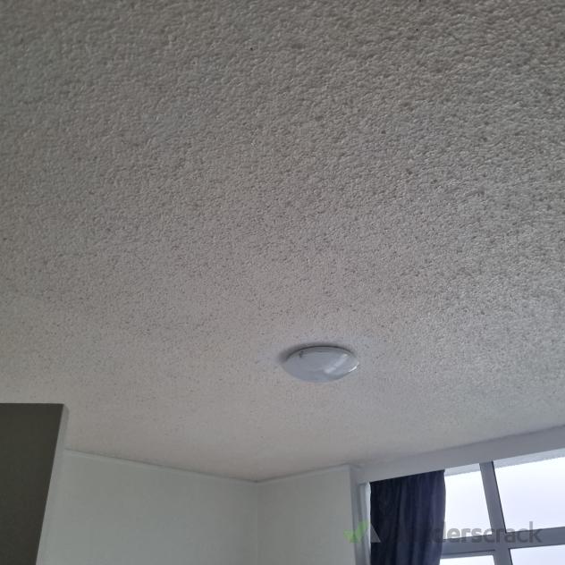 Co-ordinate asbestos ceiling removal, install ceiling gib/scotia ...