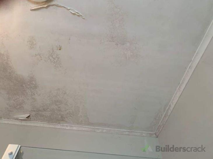 Healthy Homes work (#1142972) | Builderscrack