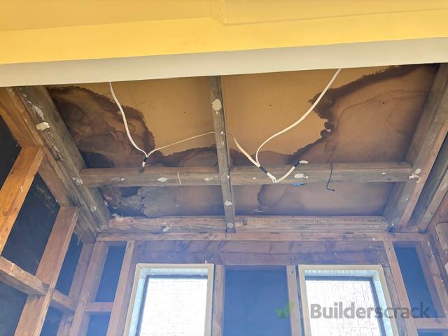 Plasterboard and ceiling installation (#1158728) | Builderscrack
