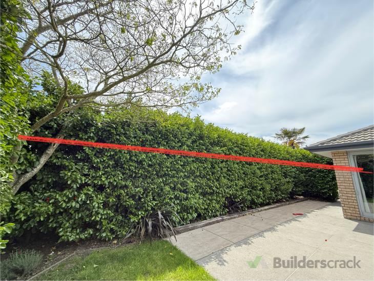 Trim hedge/ branches and cut one small tree (#1180403) | Builderscrack