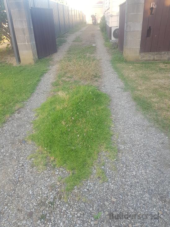 Weed eating get rid of weeds (#1203157) | Builderscrack