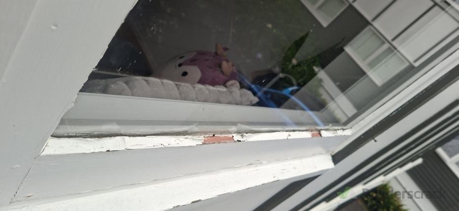 Reputty and Paint an upper floor timber joinery window (#1210405 ...