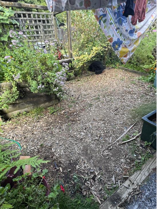 Small Concrete Area (#1210949) | Builderscrack