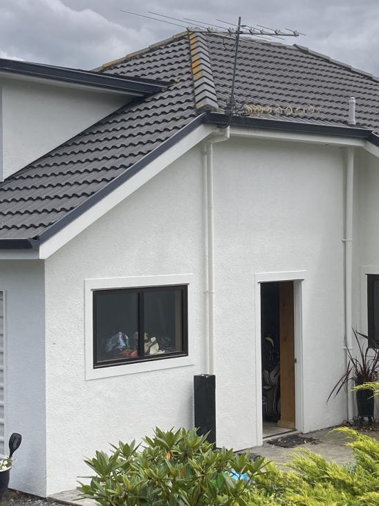 Spray roof tiles to get rid of mould. (#1210953) | Builderscrack