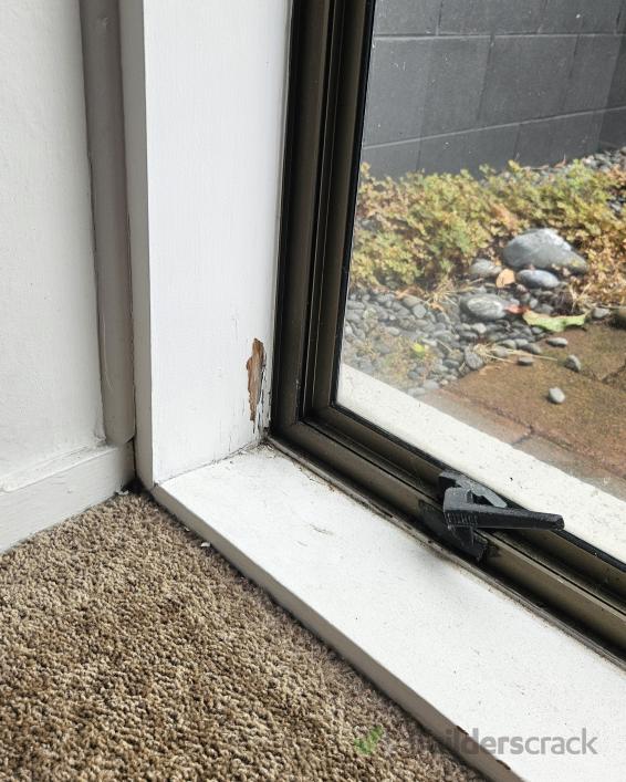 Replace timber sill + jamb around window frame (2x panels) (#1213688 ...