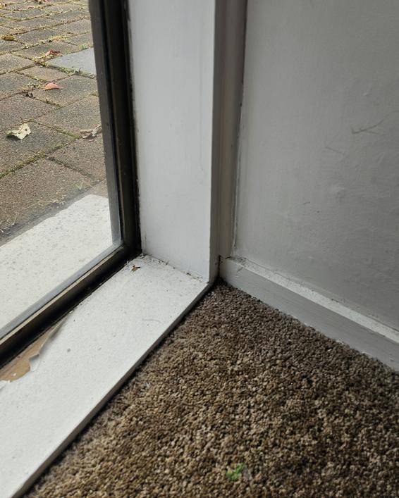 Replace timber sill + jamb around window frame (2x panels) (#1213688 ...