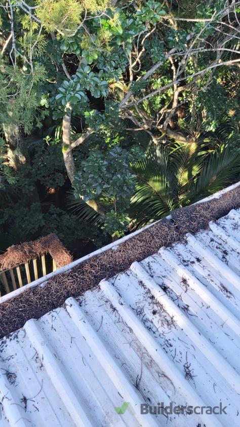 Clean roof / gutters (#1222978) | Builderscrack