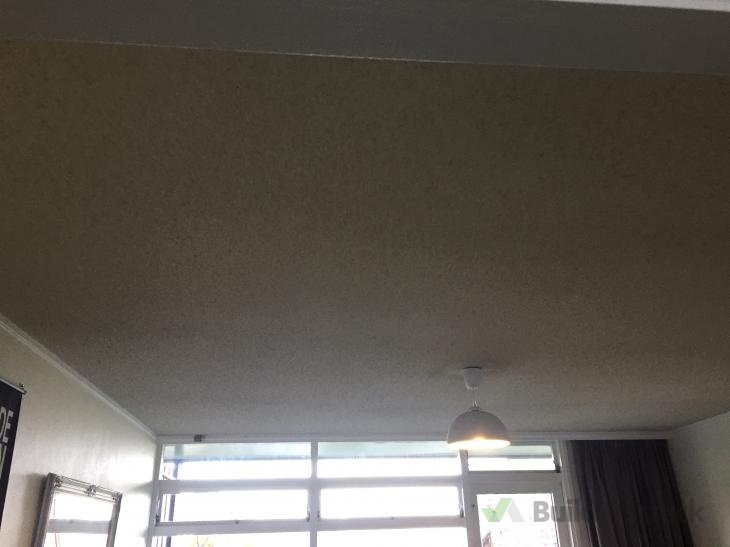 Gib ceiling/plastering & acoustic insulation (# 238889) | Builderscrack