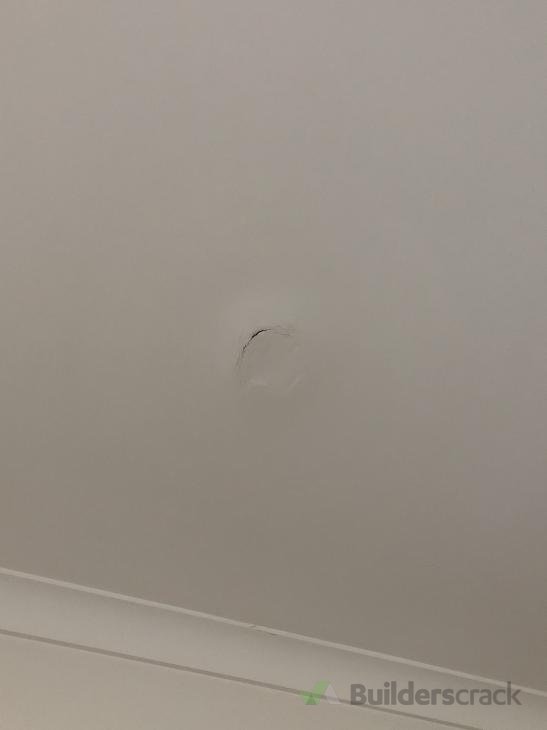 Bathroom Ceiling repair (# 289644) | Builderscrack