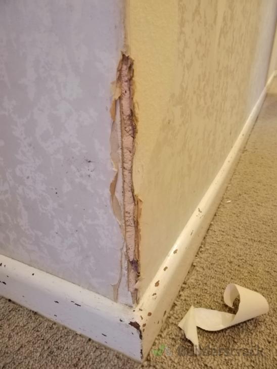 Corner wall plastering fix (# 341466) | Builderscrack