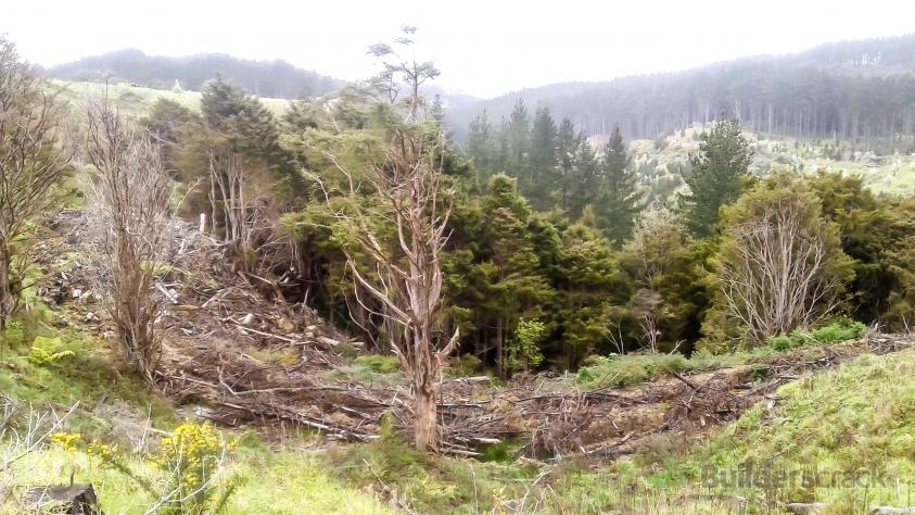 Land clean up (# 393682) | Builderscrack