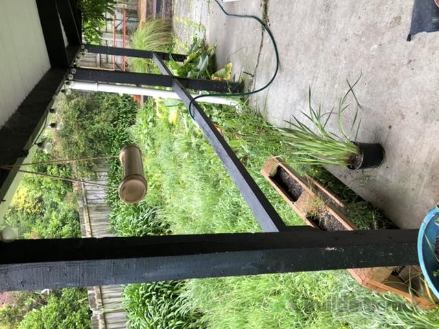 Verandah posts, concrete, and window braces (#424292) | Builderscrack