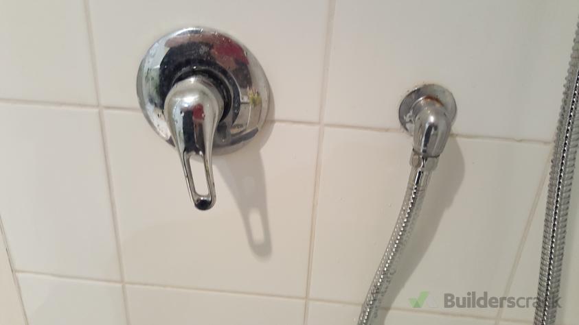 Replace shower mixer and elbow #2 (# 431323) | Builderscrack
