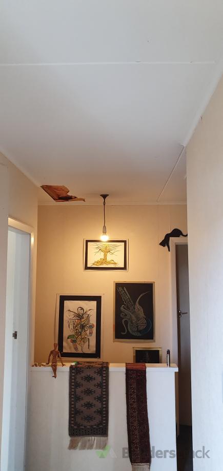 Pinex softboard replacement (#447646) | Builderscrack