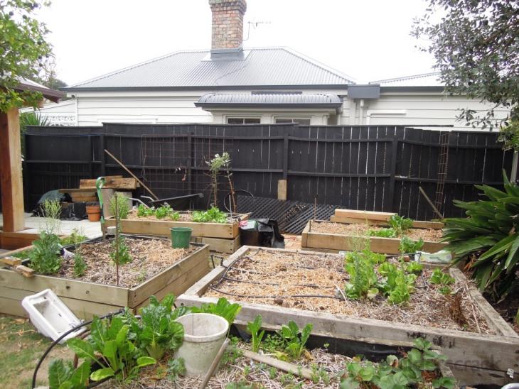 Timber boundary fence (# 457307) | Builderscrack
