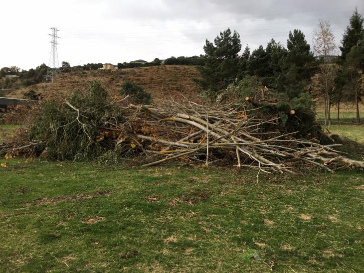 Wood chipping / tree mulching (#471573) | Builderscrack