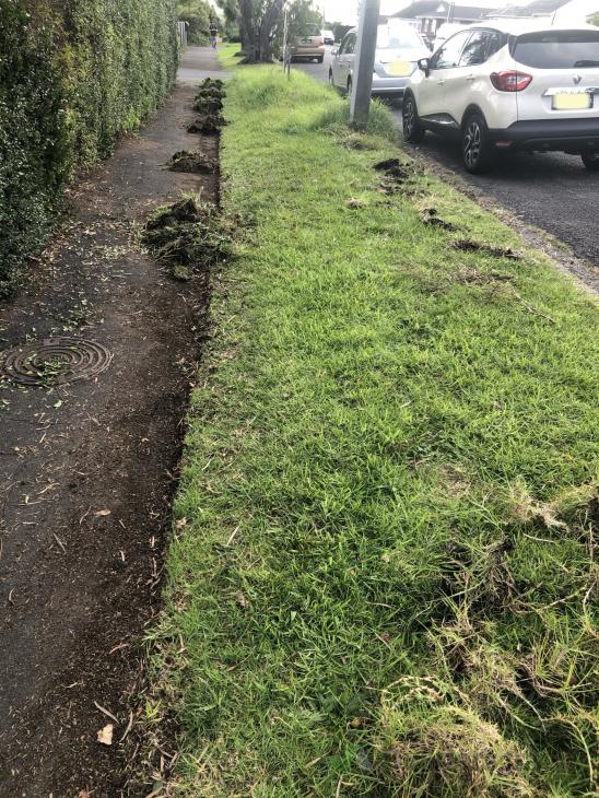 Mow grass berm + remove grass/soil (# 484456) | Builderscrack