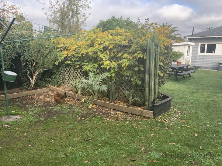 Basic garden boxing (# 498366) | Builderscrack