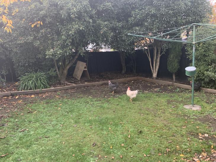 Basic garden boxing (# 498366) | Builderscrack