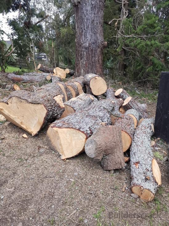 Fire Wood - remove stumps / chop and stack (#501263) | Builderscrack
