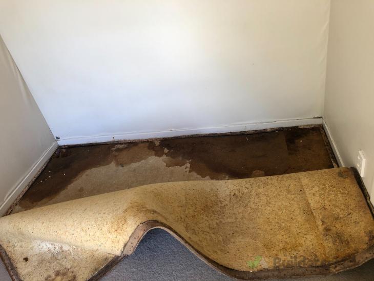 Water damaged subfloor in bedroom (#534655) | Builderscrack
