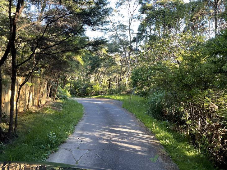 Overgrown lawns in driveway (# 541698) | Builderscrack