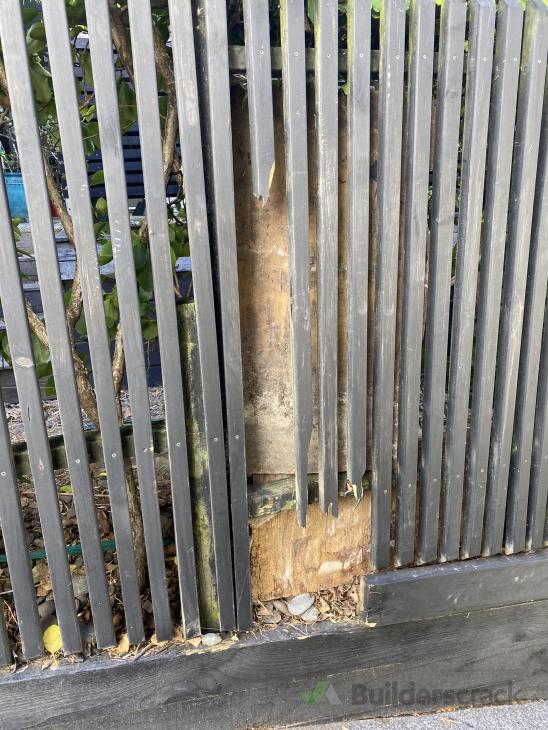 Damaged Fence