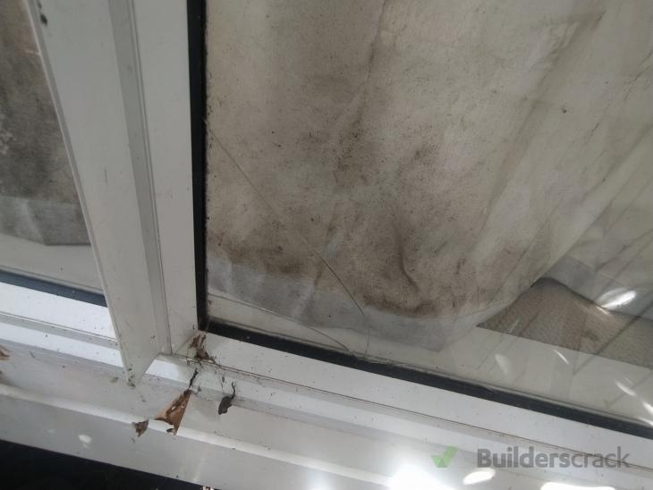 Window pane replacement (# 593025) | Builderscrack