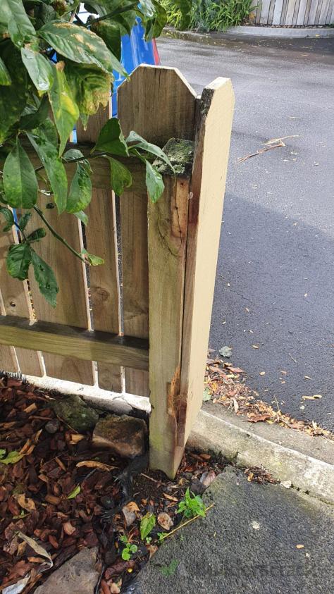 Front wooden gate broken (# 597317) | Builderscrack