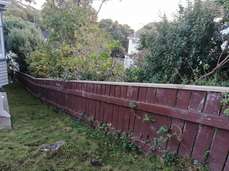 Stain and paint residential property fence (#597568) | Builderscrack